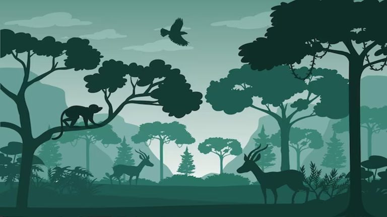 What is the punishment for wildlife poaching in India?
