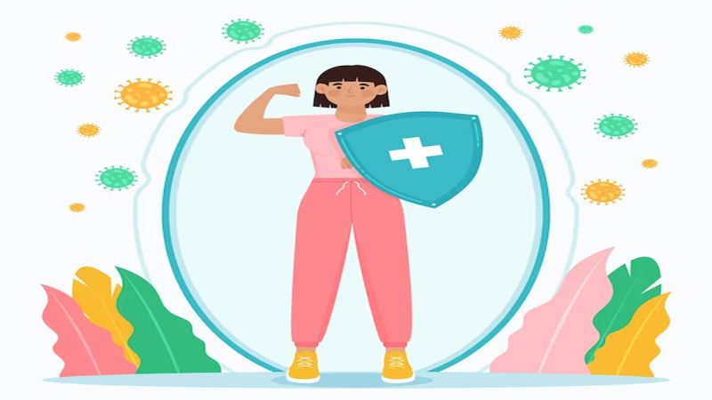 What are the different types of rights and procedures available for ...